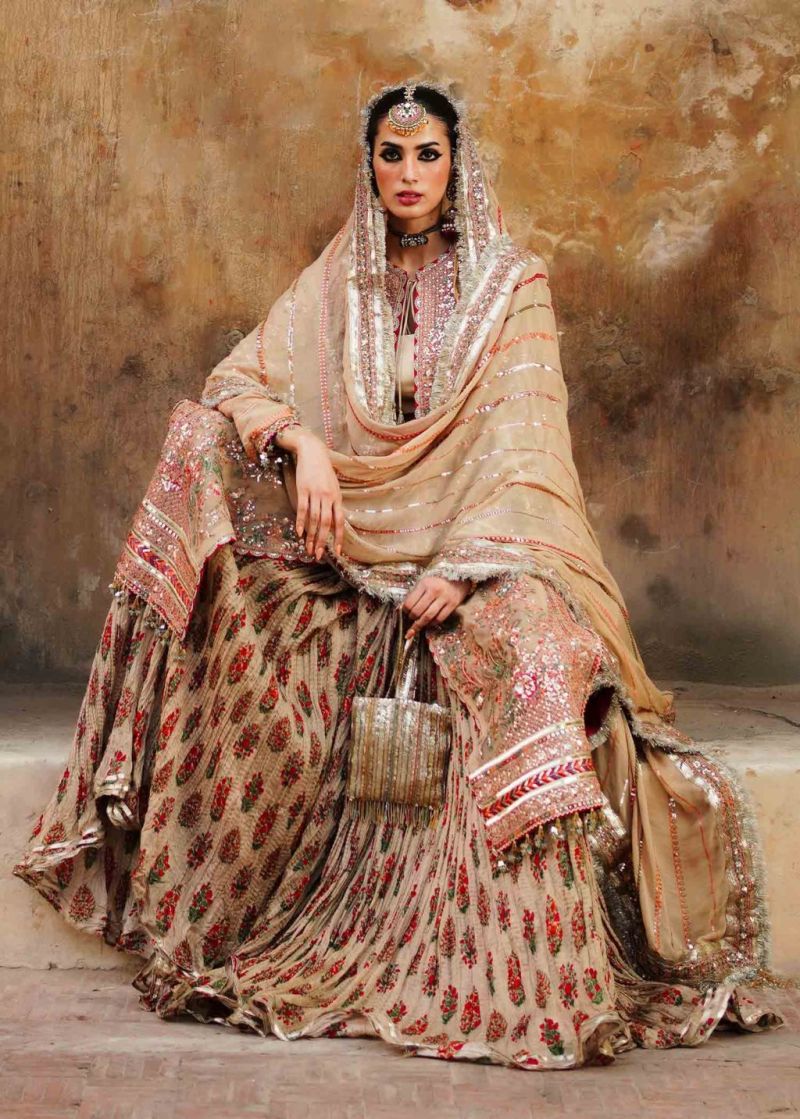 Luxury Pakistani wedding dress open gown crush sharara Naghma